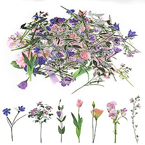 80 Pieces Natural Flower Stickers for Scrapbooking, Self-Adhesive Scrapbooking Stickers Supplies Journal for Adult Card Making Letters DIY (Style A)