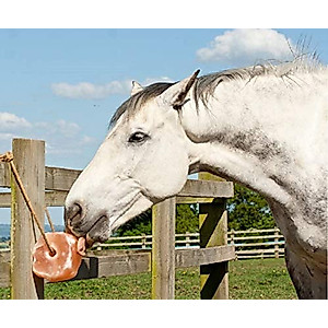 UMAID Himalayan Salt Lick 6 lbs On Rope for Horse, Deer, Goat, and Livestock Animals - Himalayan Salt Block 2 Pack