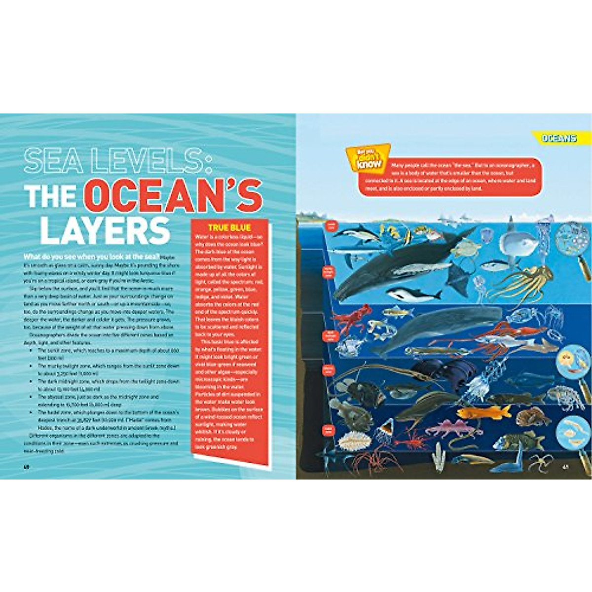 Ultimate Oceanpedia: The Most Complete Ocean Reference Ever (National Geographic Kids)