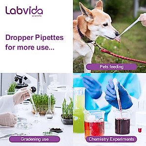 Labvida 200PCS 3ml Disposable Plastic Transfer Pipettes, Calibrated Dropper Suitable for Essential Oils Deployment,Science Laboratory, DIY Art, LVG003