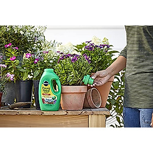 Miracle-Gro Pour & Feed Plant Food (Liquid), 32 fl. oz. (6 Pack)