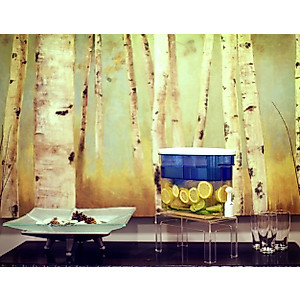 The Beverage Butler Countertop Water Filter Pitcher Stand - Clear Heavy Duty Acrylic Frame - 12" x 6" x 6" - Compatible with Brita UltraMax, PUR Ultimate and, ZeroWater ZD018