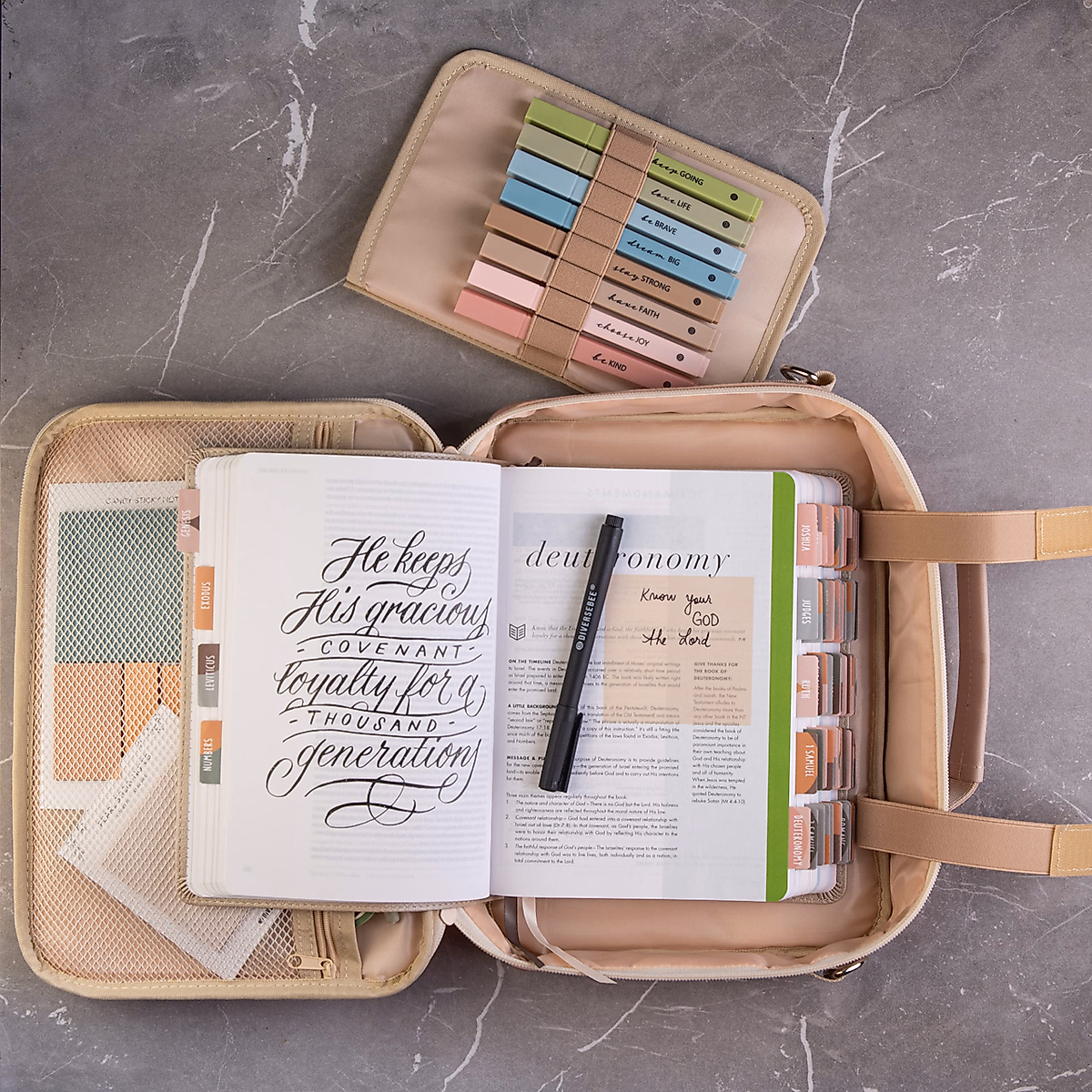 DIVERSEBEE Large Bible Cover with Handles and Shoulder Strap, Bible Carrying Case for Women, Bible Tote Bag, Bible Book Cover, Bible Accessories, Christian Gift (Geometric)