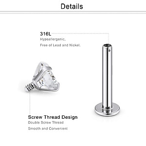 Dyknasz 316L Stainless Steel 16G 2mm Clear CZ Gem Nose Piercing Labret Monroe Lip Monroe Helix Rings Cartilage Ear Ring Studs Piercings 6mm Bar Length for Women Men Silvertone