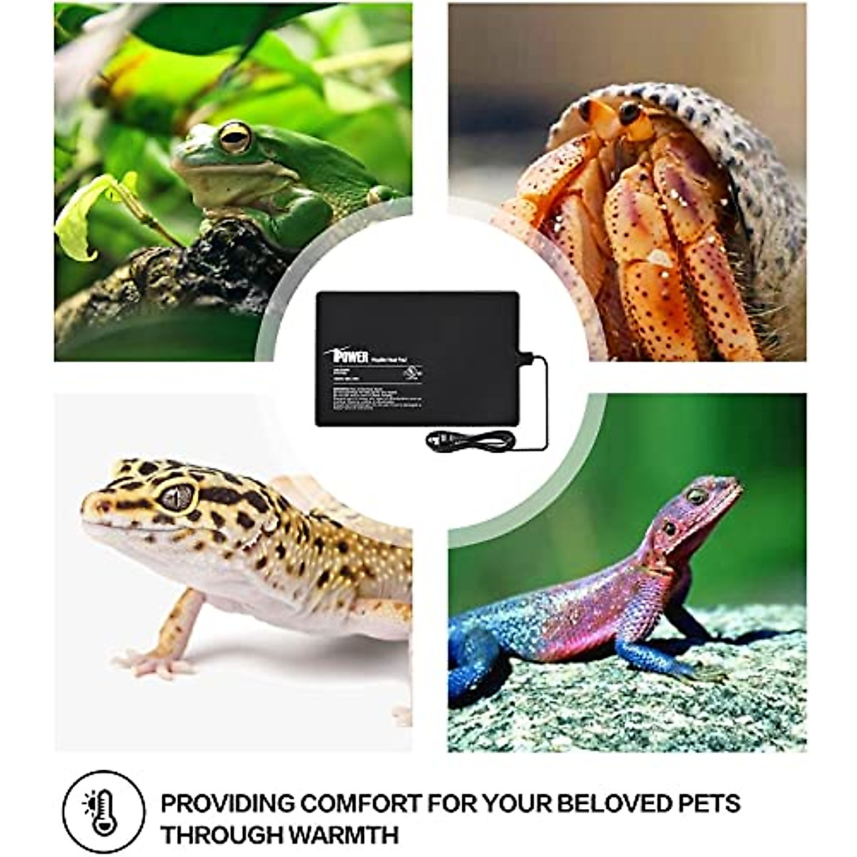 iPower Reptile Heat Pad 4W/8W/16W/24W Under Tank Terrarium Warmer Heating Mat and Digital Thermostat Controller for Turtles Lizards Frogs and Other Small Animals, Multi Sizes