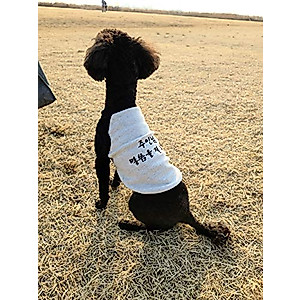 Youthdog Dog Clothes Summer Tank Top Sleeveless Vest Shirt Korean Dog Sweater Pullover Sweatshirts for ropa para Perros pequeños (Small)