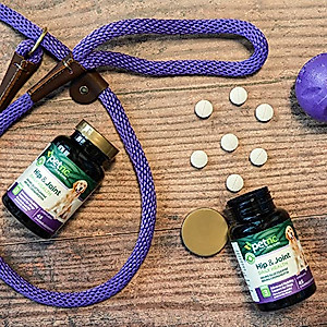 PetNC Natural Care Hip and Joint Health Advanced Chewables for Dogs, 45 Count