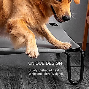 BestVida Elevated Dog Bed (Large, Grey)