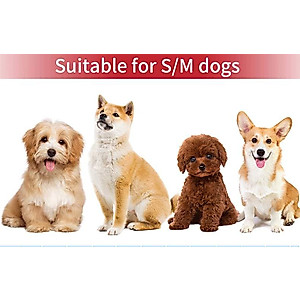 Teething Buddy: Dental Dog Chew Bone Toy for Puppies. (Green)