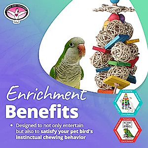 Super Bird Creations SB480 Starburst Bird Toy, Medium Bird Size, 10" x 4"