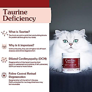 FERA PET ORGANICS Cardiac Support Supplement for Dogs and Cats, Improves Blood Flow, Energy – with Taurine, CoQ10, Organic Hawthorn Berry, Supports Cardiovascular Heart Health – 120 Capsules