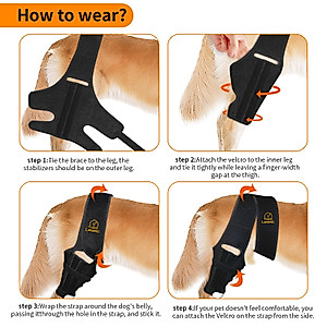 Landwill Dog Knee Brace for Cruciate Ligament Injury Joint Pain Muscle Soreness. Adjustable Dog Leg Brace, Dog Support Brace,Dog Hind Leg Support.(Black L)