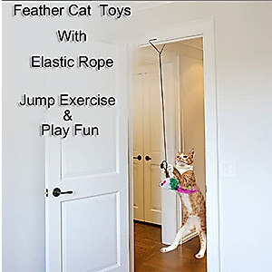 Alibuy Interactive Cat Toys,Hanging Cat Toy Kits 10Pcs Cat Feather Toys Hanging Door Retractable Ropes,Upgraded Mouse Toys Set Kitten Play Teaser for Cat Jump Exercise (10Pcs)