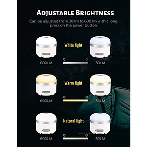 Wildley 600LM Camping Lights, 5 Light Modes Camping Lantern Rechargeable with 3600 mAh Power Bank,Camping Essentials for Tent Emergency, Outdoor Hiking, Power Outages (White)