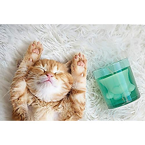 Cat Paw Sandalwood Jasmine Scented Candle - Unique and Cute for Cat Lovers