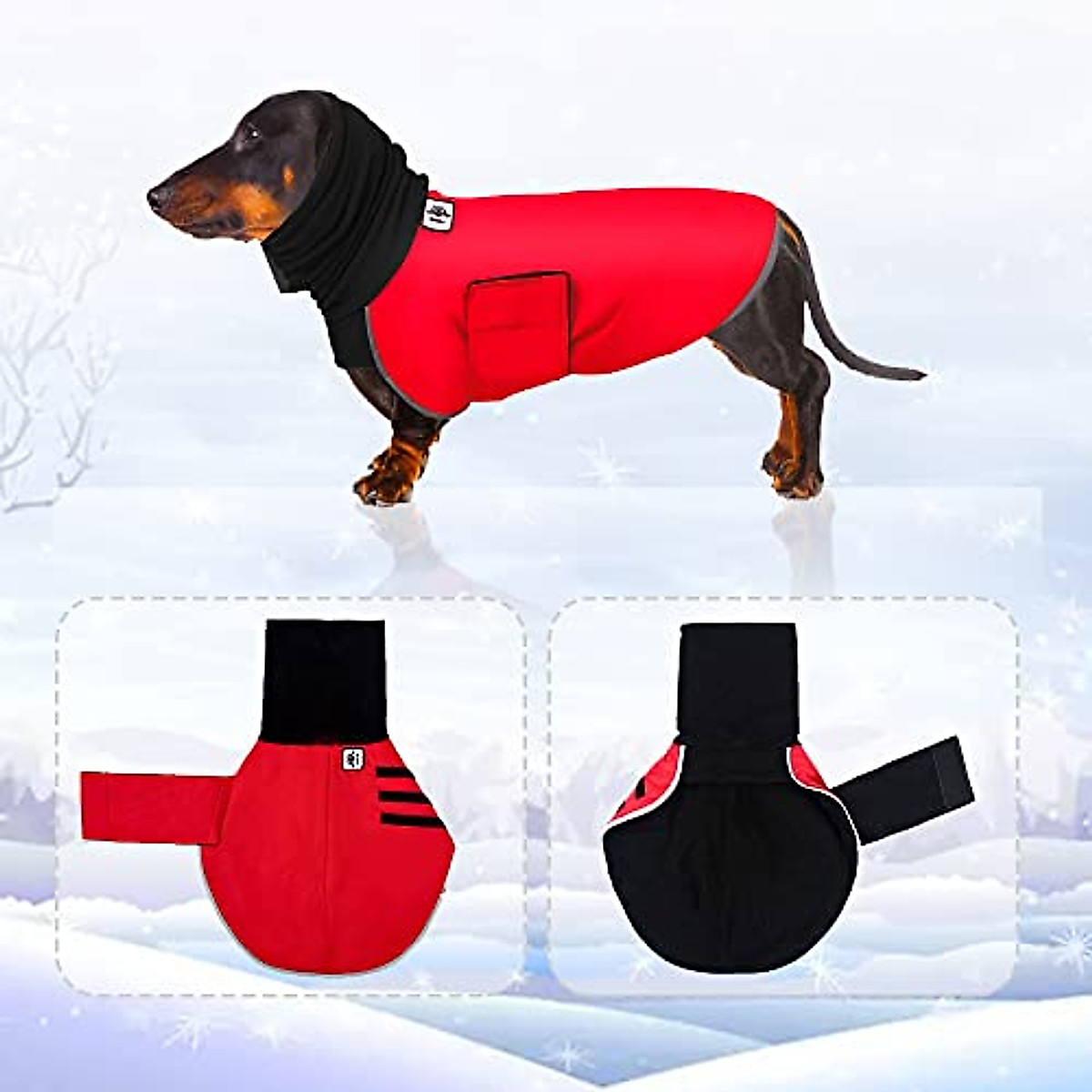 Dachshund Raincoat, Dachshund Clothes for Dog, Dachshund Coat, Dachshund Winter Coat, Dachshund Raincoat Waterproof, Coat Miniature Dachshund, Miniature Dachshund Raincoat for Small Dog (S, Red)