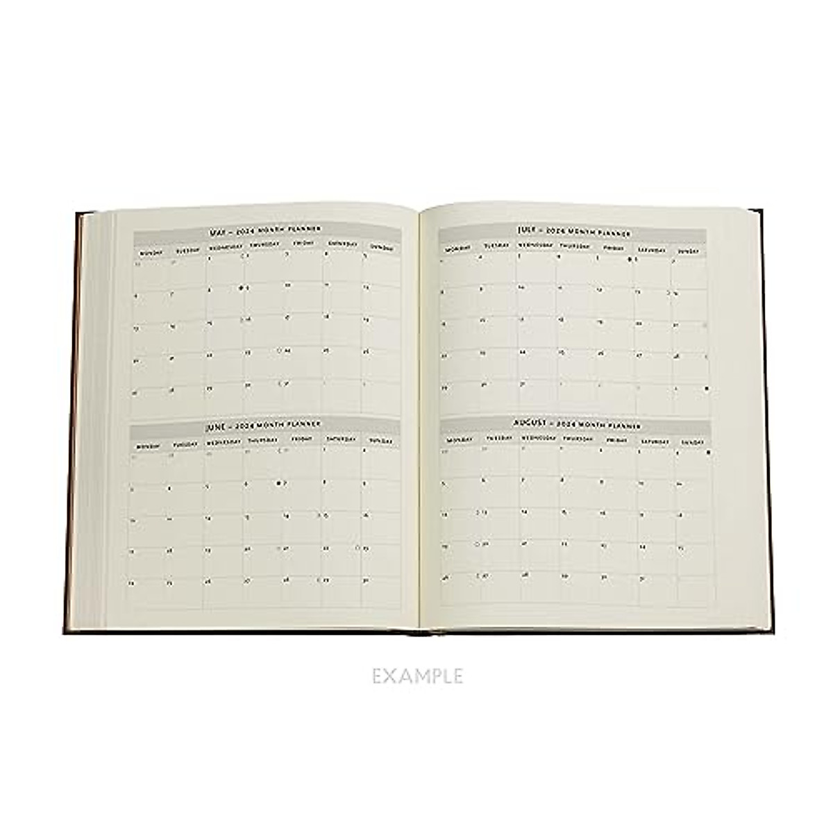 Safavid Indigo (Safavid Binding Art) Ultra 12-month Day-at-a-Time Dayplanner 2024