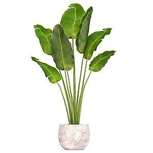 VOSAREA Green Plant Wall Decals 3D Potted Plant Wall Stickers Removable Bonsai Decals DIY Peel and Stick Art Murals for Bedroom Livingroom Office