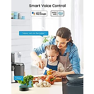 Govee Dual Smart Plug 4 Pack, 15A WiFi Bluetooth Outlet, Work with Alexa and Google Assistant, 2-in-1 Compact Design, Govee Home App Control Remotely with No Hub Required, Timer, FCC and ETL Certified