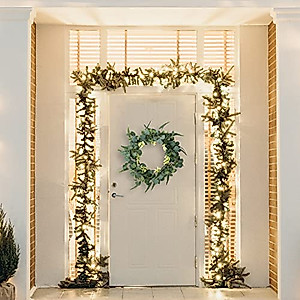 DiliComing Fall-Wreath Eucalyptus Front Door-Wreath - 20 Inch Year Round Artificial Door Wreath, All Season Wreath Clearance for Farmhouse, Wall and Window Decoration
