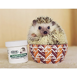 Hedgehog Booster - Complete Multivitamin - Powdered Vitamin & Mineral Supplement for Pet Hedgehogs (2 oz.)