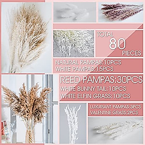 86PCS Natural Dried Pampas Grass Bouquet,Boho Home Decor Bouquet, Phragmites Dried Flowers,Bouquet for Wedding Floral Arrangements Home Decorations
