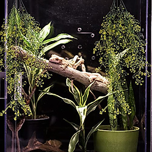 MUYG Reptile Hanging Plants,Bearded Dragon Plastic Flexible Fake Vines Plant Leaves with Suction Cup Lizards Terrarium Habitat Decorations for Geckos Turtles Snake Frog Chameleon(2 Pcs)