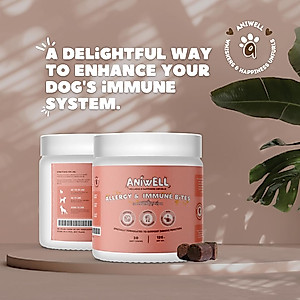 Aniwell Allergy & Immune Support Chews for Dogs – Powered by Astragalus Root & Flaxseed C3 – Promotes Seasonal Allergy Relief, Gut & Digestive Health – Soft Chews | Pack of 2