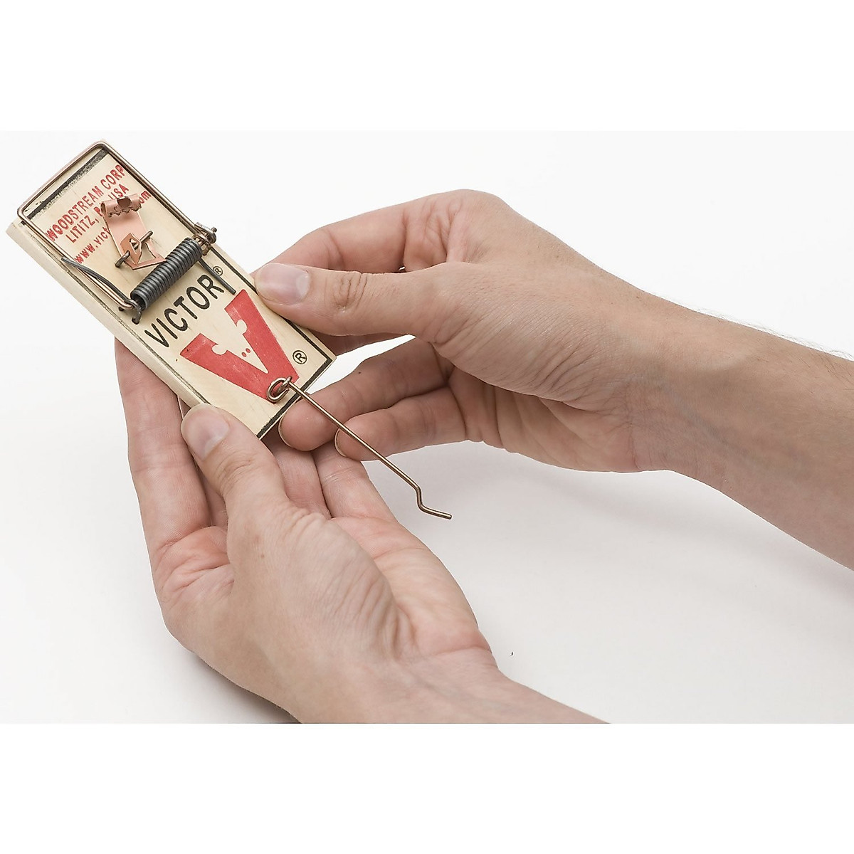 Victor Metal Pedal Mouse Trap - 2 Pack M023 - Wood Mouse Trap, Brown