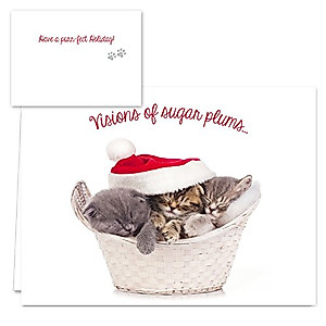 Christmas Cats Holiday Card Assortment Pack / 25 Seasonal Kitten Greeting Cards And Envelopes / 5 Sleeping Santa Animal Designs And Christmas Messages