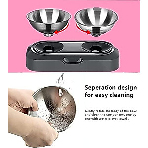PewinGo Raised Cat Bowl with Stainless Steel, Non-Slip Silicone Mat & Raised Cat Feeder with 15° & 0° Tilting Neck Protective Bowl for Pets, Cats Food and Water Feeding