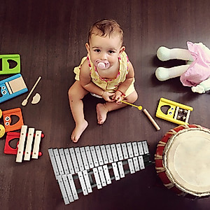 Sierjian 32 Keys Glockenspiel,Foldable Aluminum Xylophone for Adults, Percussion Instruments Kit for Children,Professional Educational Percussion Musical Instrument with 4 Mallets and Carrying Bag