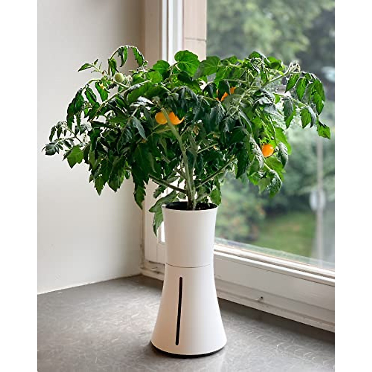 Botanium Hydroponic and Automatic Indoor Gardening Pot, White
