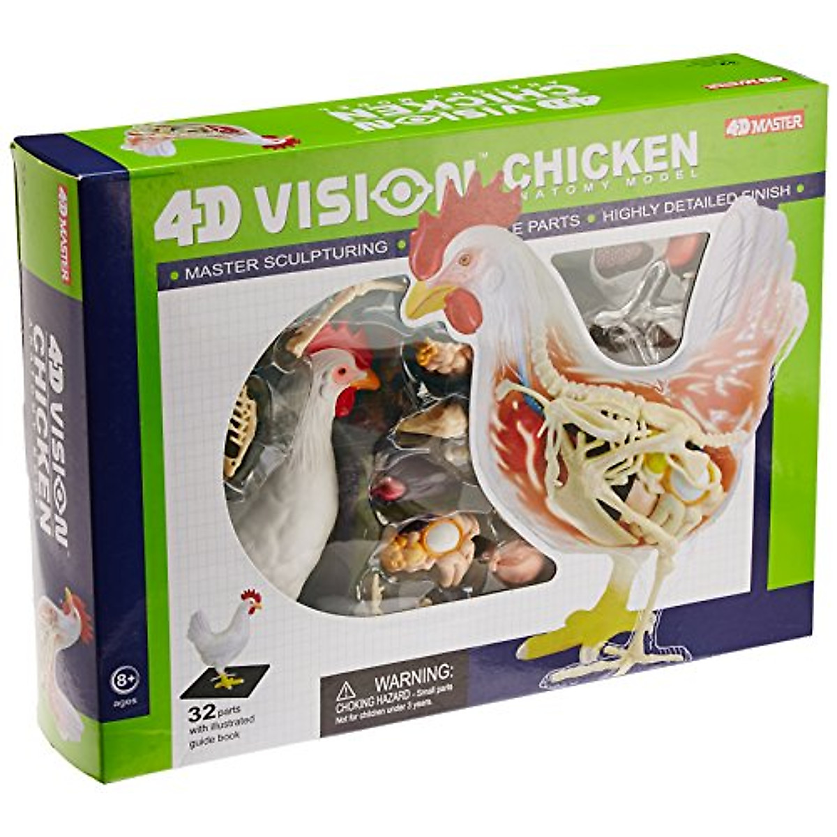 4D Master Vision Chicken Skeleton & Anatomy Model Kit, One Color