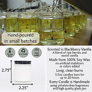 I Hope the Neighbors Aren't Assholes 3.5 oz Soy Candle - Blackberry Vanilla Scent