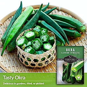 Survival Garden Seeds - Clemson Spineless Okra Seed for Planting - Packet with Instructions to Plant and Grow Tender and Large Okra in Your Home Vegetable Garden - Non-GMO Heirloom Variety