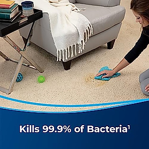 BISSELL® Sanitize Spray, 22 oz. 2 Pack, 3128