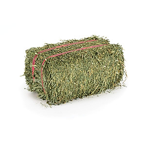 Grandpa's Best Alfalfa Hay, 40 oz