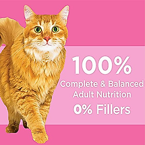 IAMS PROACTIVE HEALTH Adult Sensitive Digestion & Skin, Dry Cat Food with Turkey Cat Kibble, 13 lb. Bag