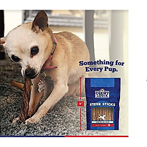 CHEWY LOUIE 5" Steer Sticks - 100% Beef Treat, No Artificial Preservatives, Colors, or Flavors. Tough, Long-Lasting, and Dental Support Dog Treats.