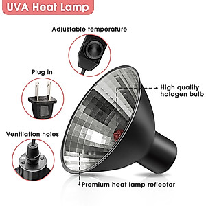 Briignite Reptile Heat Lamp Red, Reptile Night Lamp 50W, G9 Heat Bulb & Dome Reptile Light Fixture, Aluminum Reflector, Dimmable Heat Lamp for Chicken Turtle Snake Gecko Lizard, 1 Pack