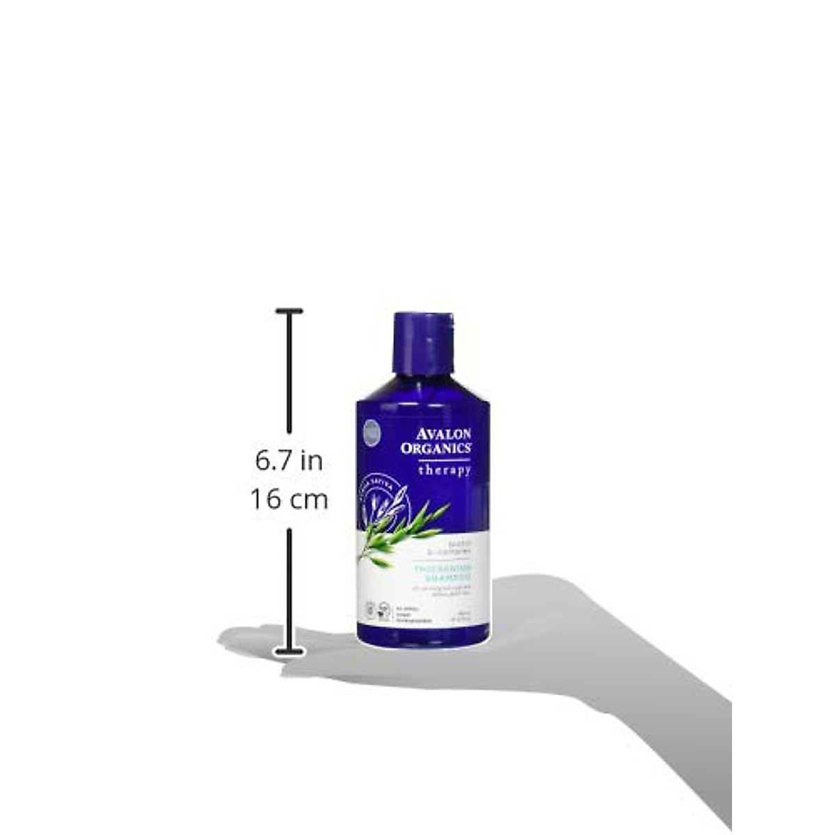 Avalon Organics Thickening Shampoo Complex (Packaging may vary), Biotin B, 14 Fl Oz