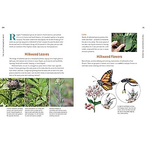100 Plants to Feed the Monarch: Create a Healthy Habitat to Sustain North America's Most Beloved Butterfly
