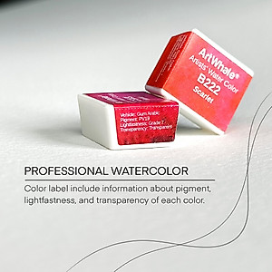 Art Whale Artists' Watercolor 24 Colors in Half-Pans