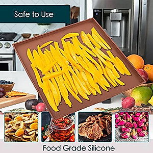 6PCS Silicone Dehydrator Mats with Edge NonStick Square Dehydrator Trays for Cosori CP267-FD,High Temperature Resistance Reusable for Meat Vegetables Fruit Food