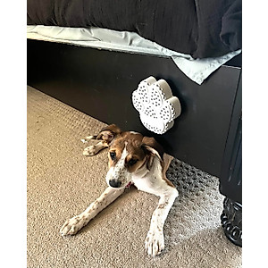 Rescue Retriever- Smoke Detector for pet Rescue in a Smoke or fire Emergency.