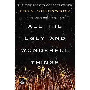 All the Ugly and Wonderful Things: A Novel