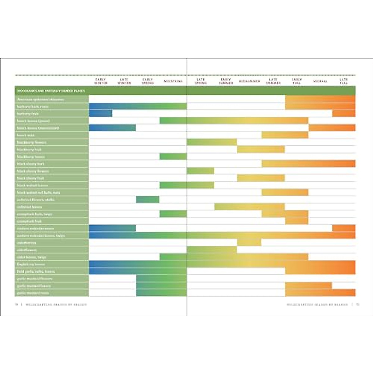 Northeast Medicinal Plants: Identify, Harvest, and Use 111 Wild Herbs for Health and Wellness (Medicinal Plants Series)
