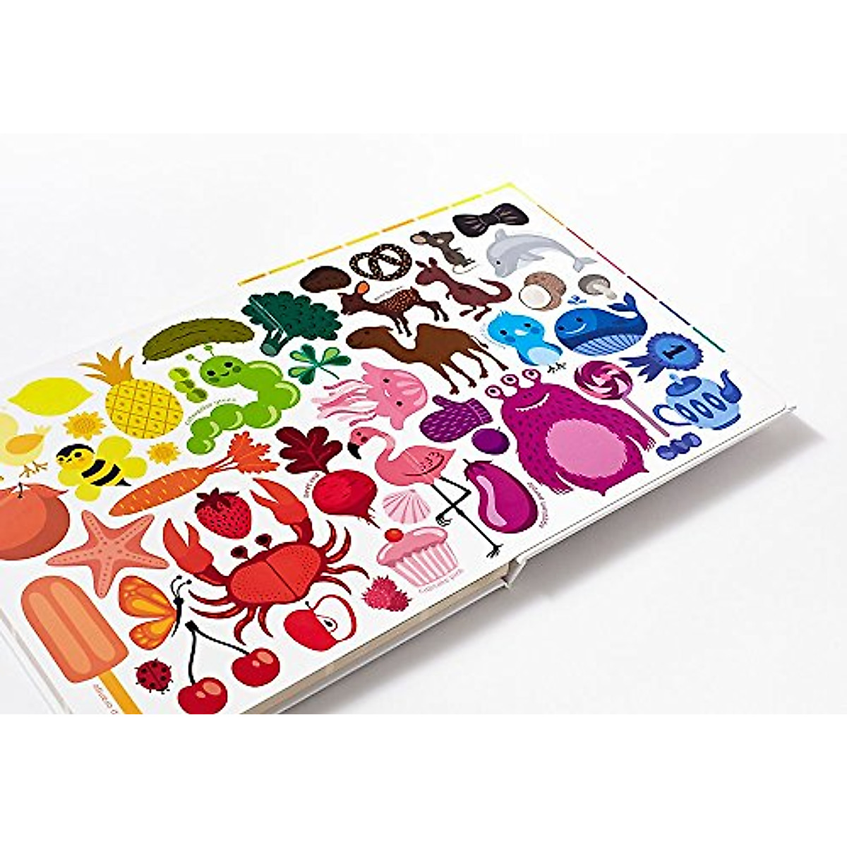 Pantone: Colors: A Board Book