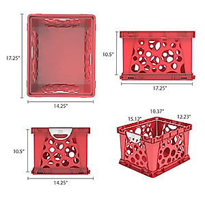 Storex Industries Premium File Crate with Handles, Classroom, 1-Pack, School Red